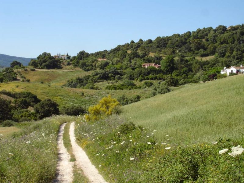 How to Buy Rural Property in Spain